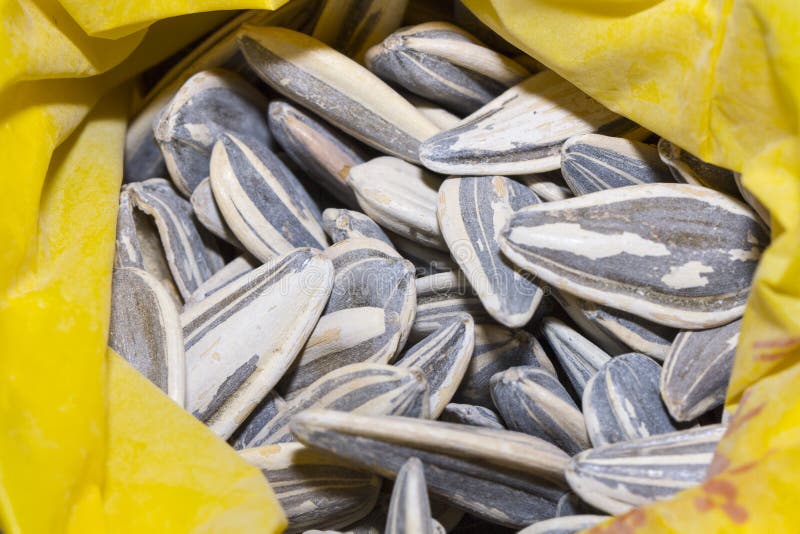 Pipas stock photo. Image of shell, food, pipe, seed, hobbies - 72101452