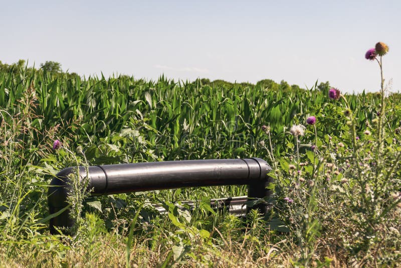 Pipe in the Field stock photo. Image of pipe, hydration - 120591134
