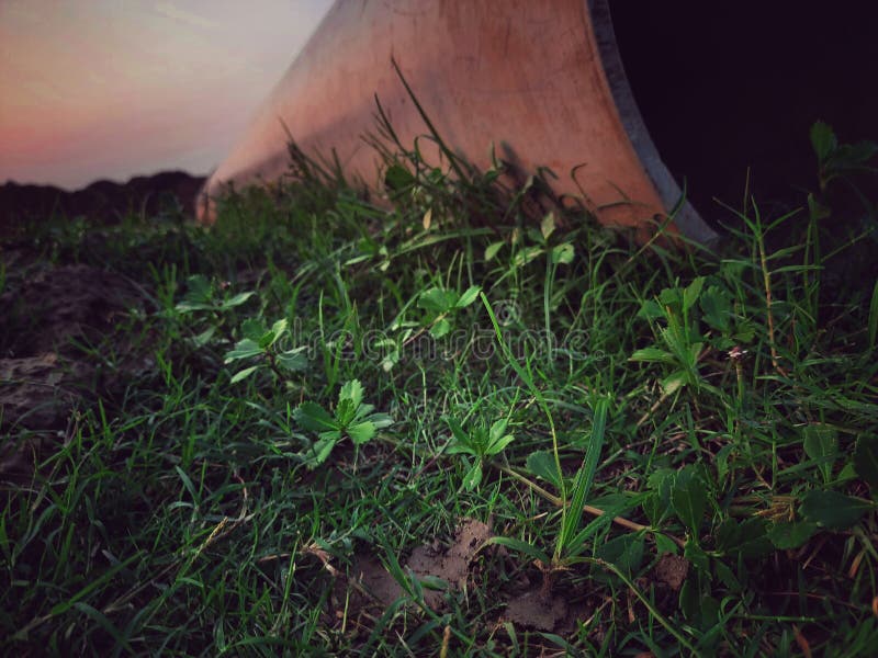 Pipe and grass stock image. Image of leaf, plant, branch - 220545591