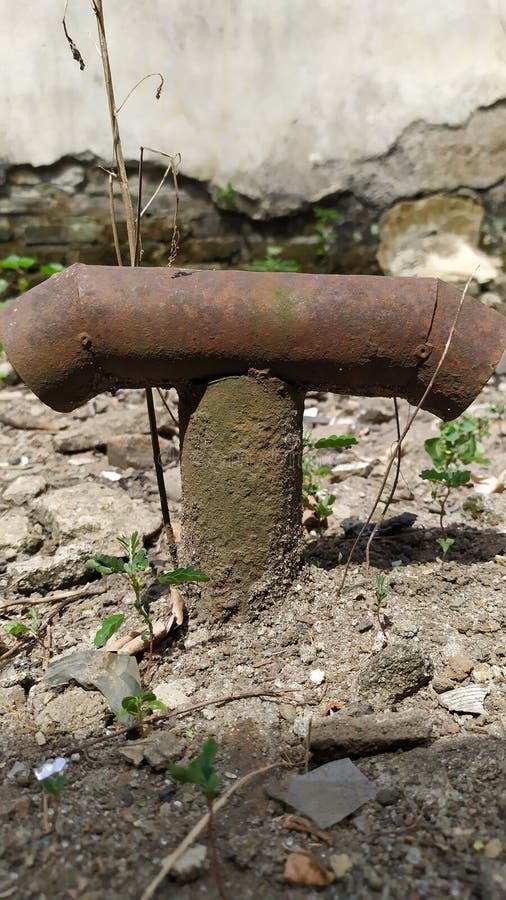 Pipe in the nature stock photo. Image of pipe, trunk - 211445130