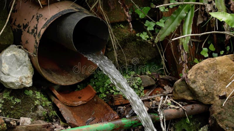 Pipe Structure with a Stream of Flowing Drainage Water in the Forest ...
