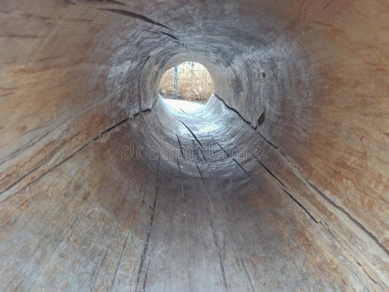 A Pipe from a Tree. Processed Tree, Empty Inside Stock Image - Image of ...