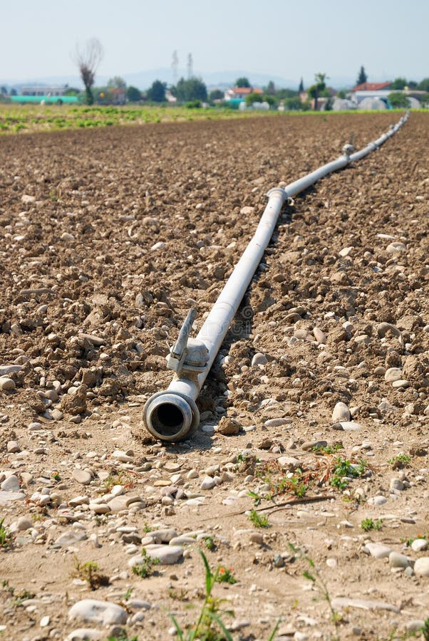 Irrigation pipeline stock photo. Image of industry, environment - 10187822