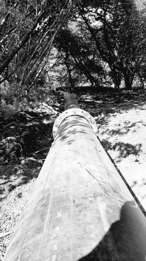 Pipeline trough nature stock image. Image of trough - 220843139