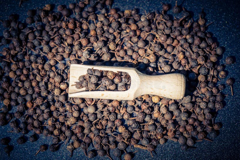 Cubeba Piper Seed Stock Photos - Free & Royalty-Free Stock Photos from ...