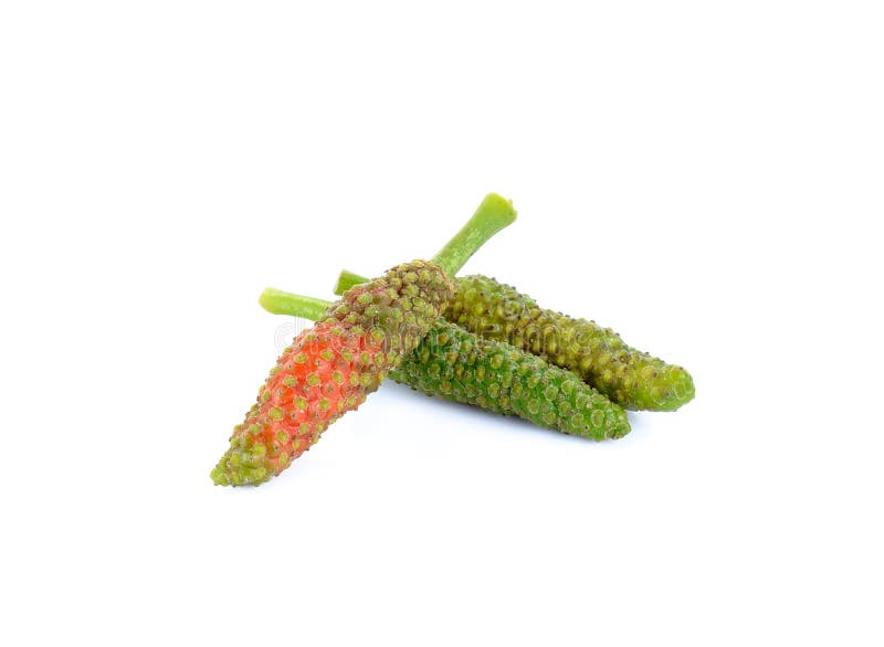 111 Long Pepper Piper Longum Tree Stock Photos - Free & Royalty-Free ...