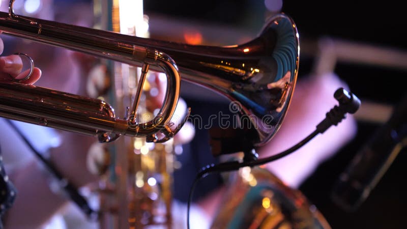Pipes in the Hands of Musicians. Musicians Playing Wind Instruments ...