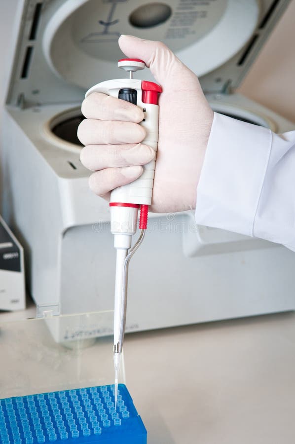 DNA Research stock photo. Image of pipette, sample, biologist - 5263116