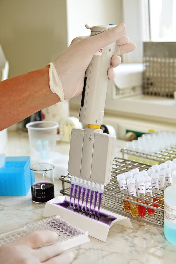 Pipette stock image. Image of science, pipette, microbiology - 8909619