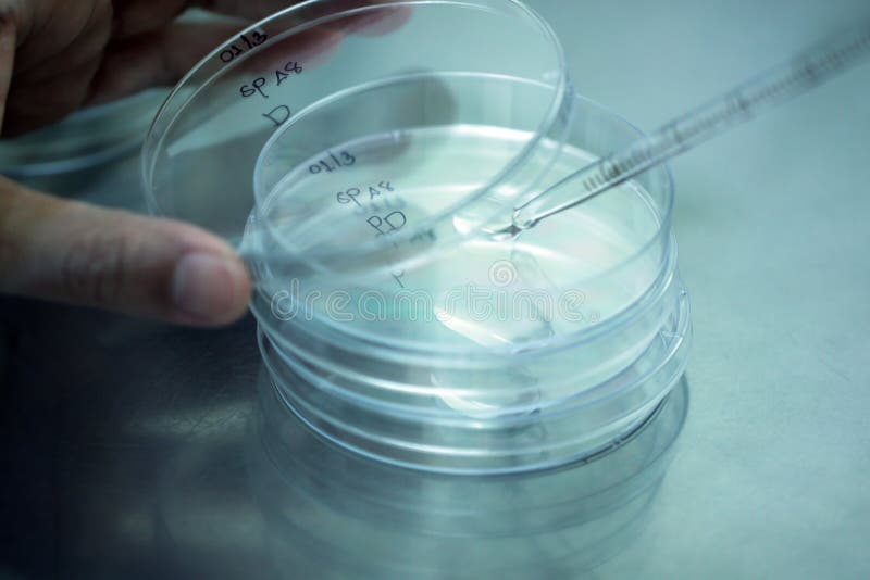 Pipette Adding Fluid Water To Test Tubes. Stock Photo - Image of ...
