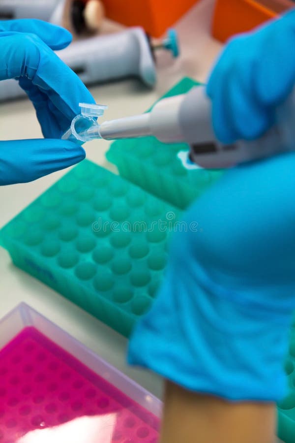 Pipette with Drop of Liquid Stock Photo - Image of device, laboratory ...