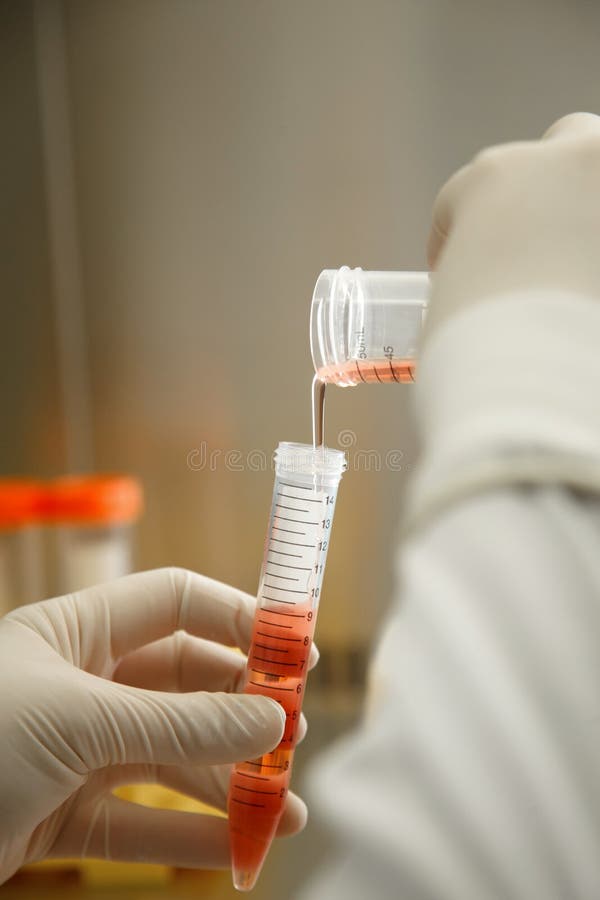 Pipette im Labor stockbild. Bild von glaswaren, instrument - 51635177