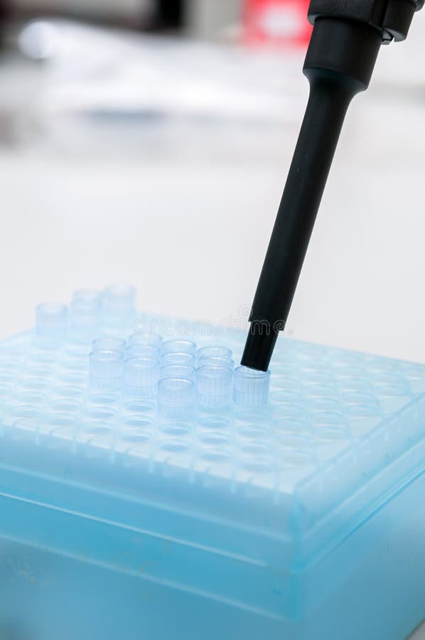 Pipette with more blue tip stock image. Image of close - 41958059