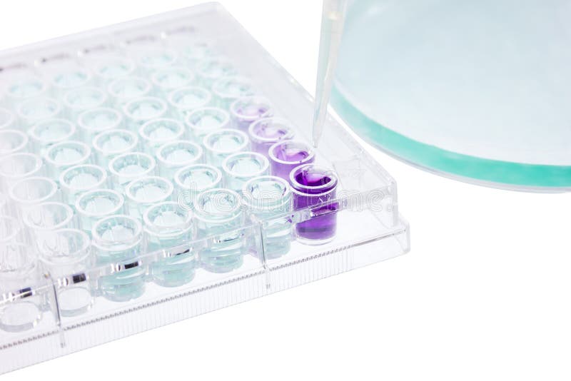 Research Test Lab Elisa Plat Stock Image - Image of plate, analysis ...