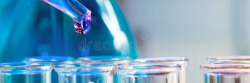 Sample Load with Multichannel Pipette Stock Image - Image of biotech ...