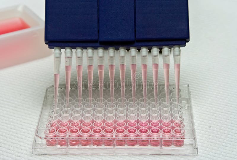Pipetting into a 96-well Plate Stock Image - Image of pipettor, measure ...