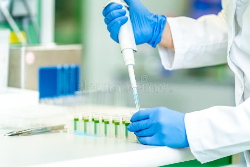 Pipetting a Sample into a Glass Beaker during Research in a Scientific ...