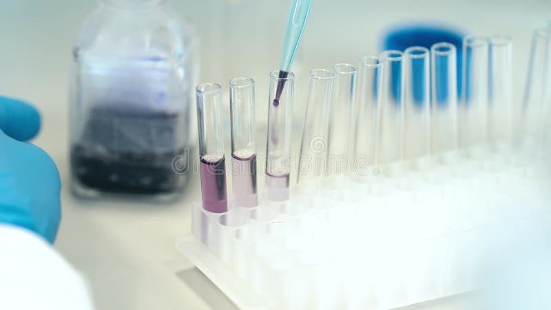 Pipetting a Sample into a Glass Beaker during Research in a Scientific ...