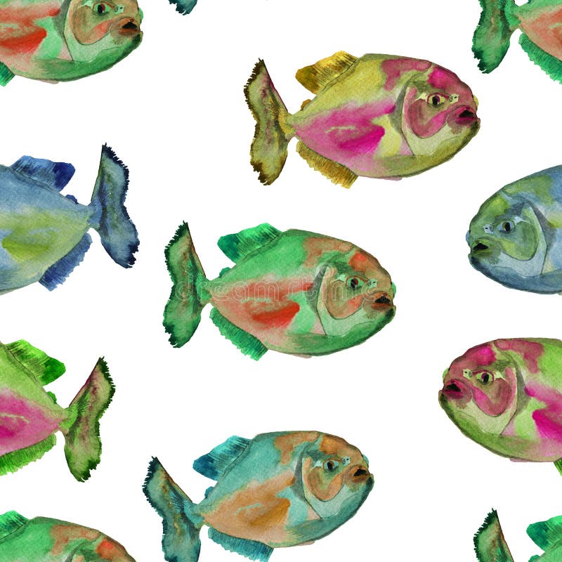 Piranha Amazon Watercolor Seamless Pattern Stock Illustration ...