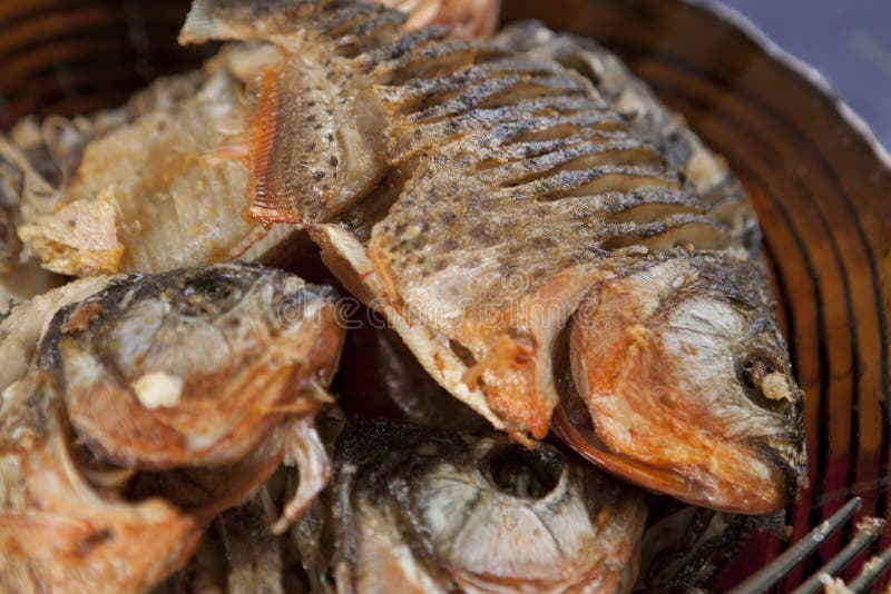 Piranha cuit photo stock. Image du poissons, goût, fleuve - 17296936