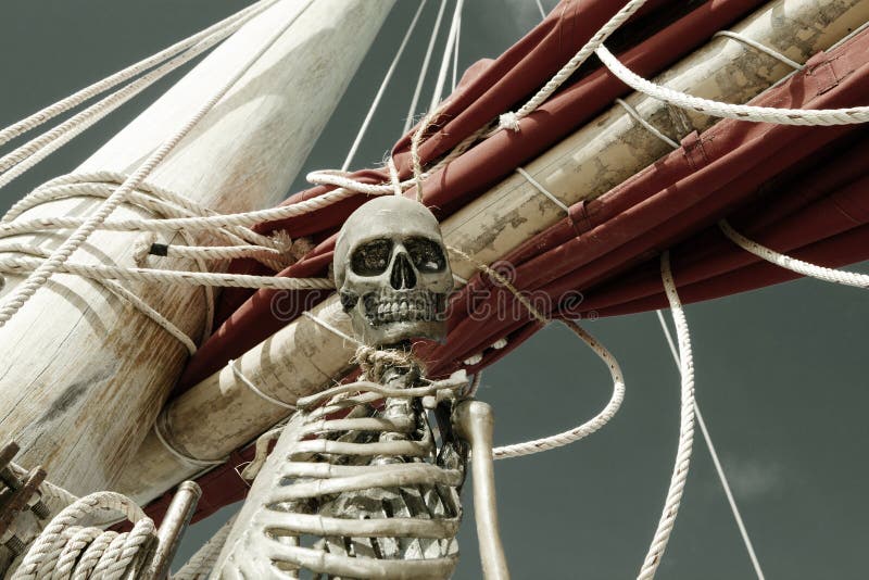 Pirates stock photo. Image of hook, hangdog, person, anatomy - 38733000