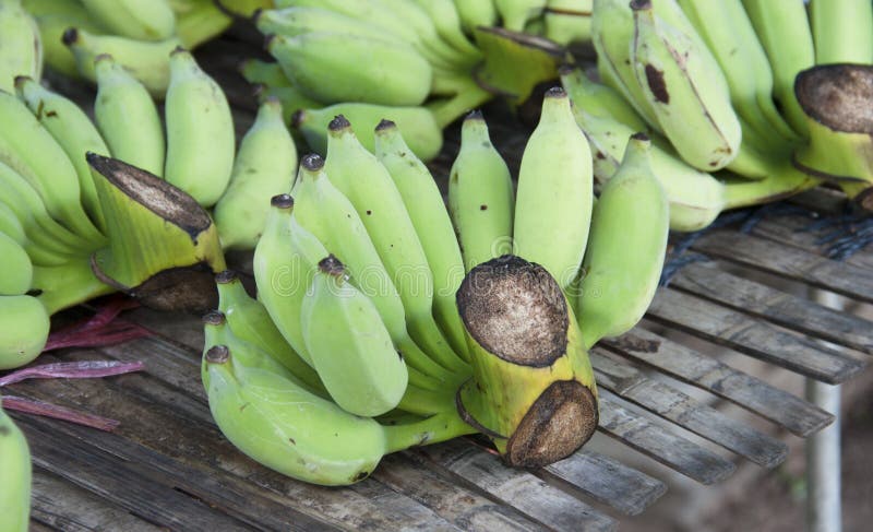 Pisang Awak banana stock image. Image of agriculture - 59173337