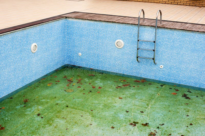 Piscina Vazia Com Escada Ou Etapas Imagem de Stock - Imagem de ...