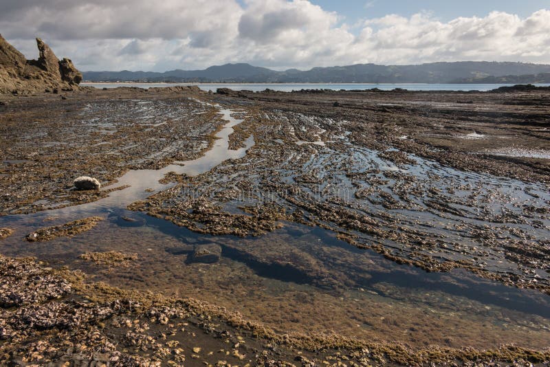 Piscinas De La Roca En Omaha Bay Foto de archivo - Imagen de costa ...