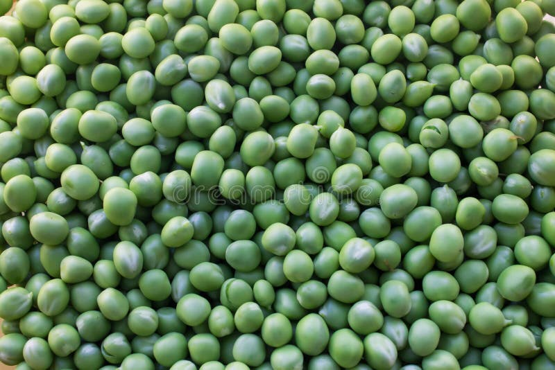 Piselli verdi immagine stock. Immagine di agricoltura - 25751431
