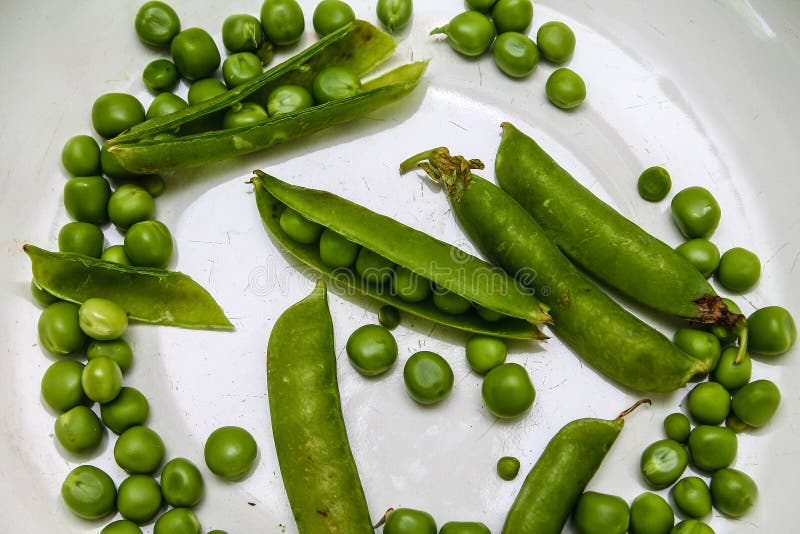 Piselli - verdura verde immagine stock. Immagine di frutta - 94132551