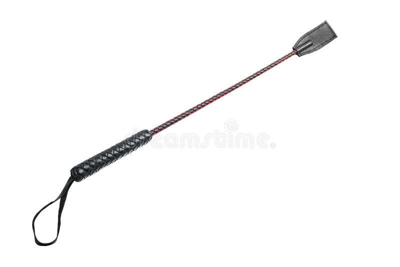 Piska fotografering för bildbyråer. Bild av bullwhip - 10091757