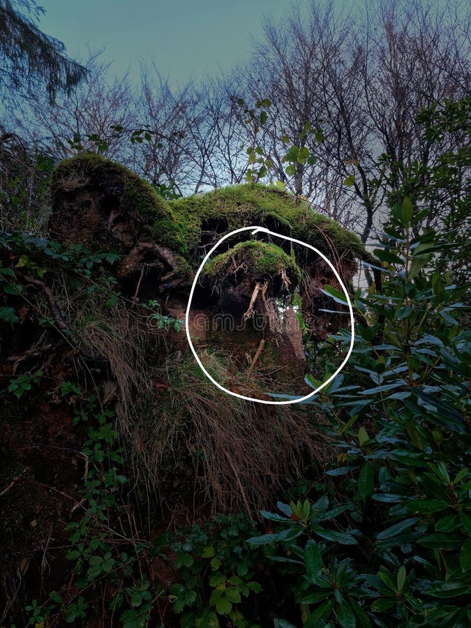 Piskey Transformation Stock Photos - Free & Royalty-Free Stock Photos ...