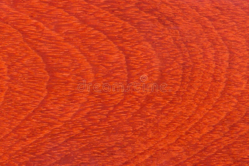 Piso De Madera De La Secoya Realista Imagen de archivo - Imagen de ...