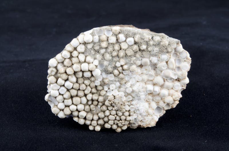 Pisolith stock image. Image of pisolite, pisoids, sardinia - 24624161