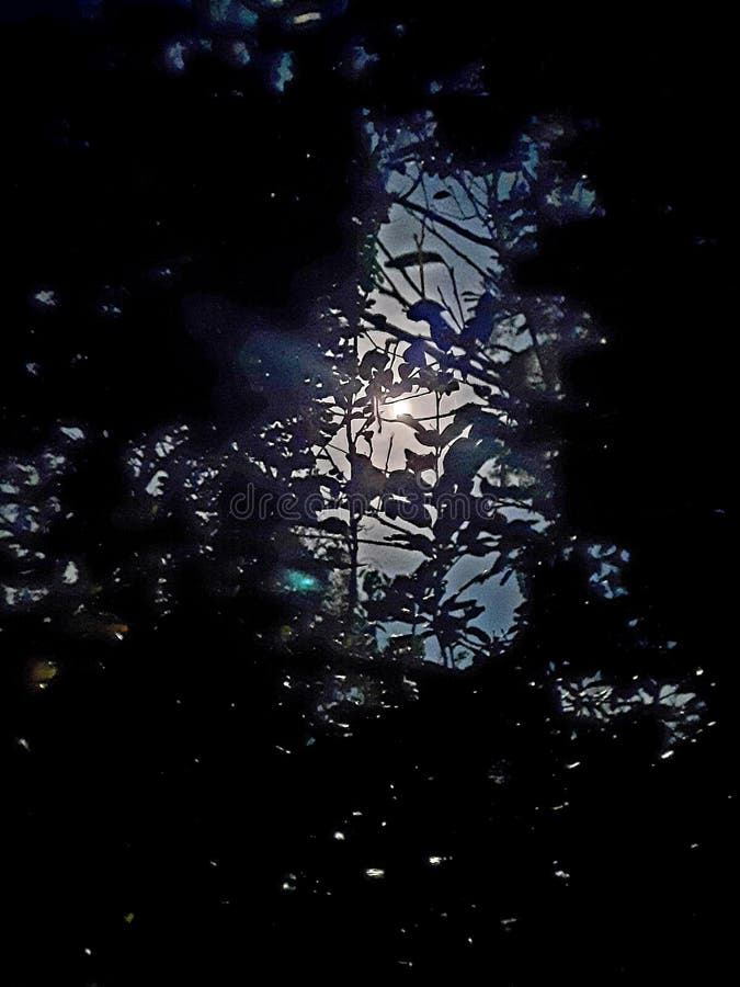 And capture the moon stock photo. Image of capture, midnight - 212281302