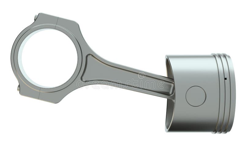 Biela Ilustraciones Stock, Vectores, Y Clipart – (238 Ilustraciones Stock)