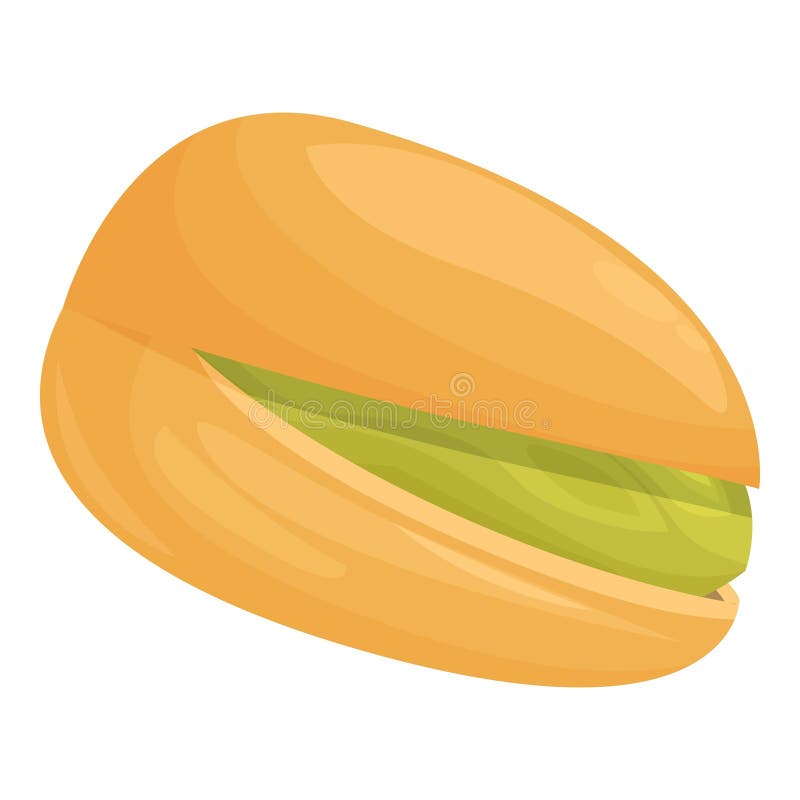 Pistachio Nut Showing Seed Inside Shell Stock Vector - Illustration of ...