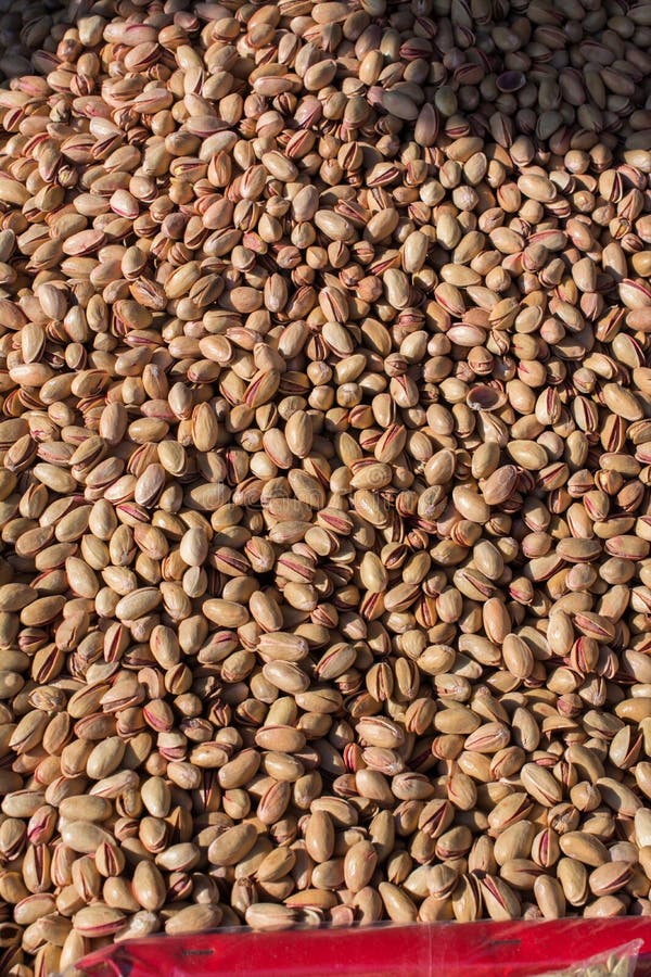 Pistachio with Shell Ready To Eat Stock Photo - Image of tasty, dried ...