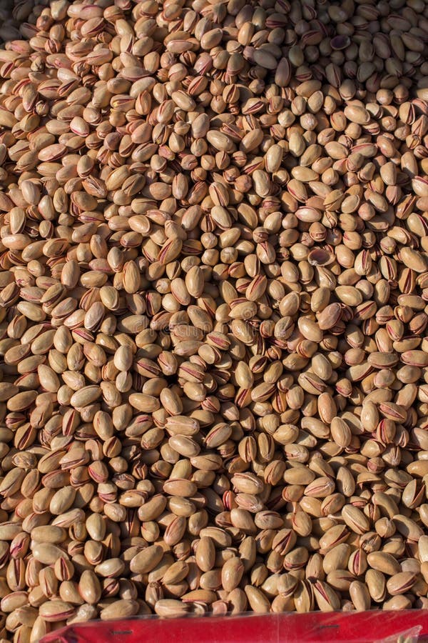 Pistachio with Shell Ready To Eat Stock Photo - Image of seed ...