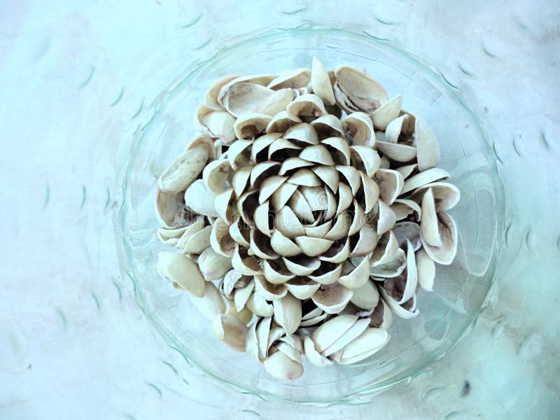 Pistachio shell art stock photo. Image of flower, petal - 191475258