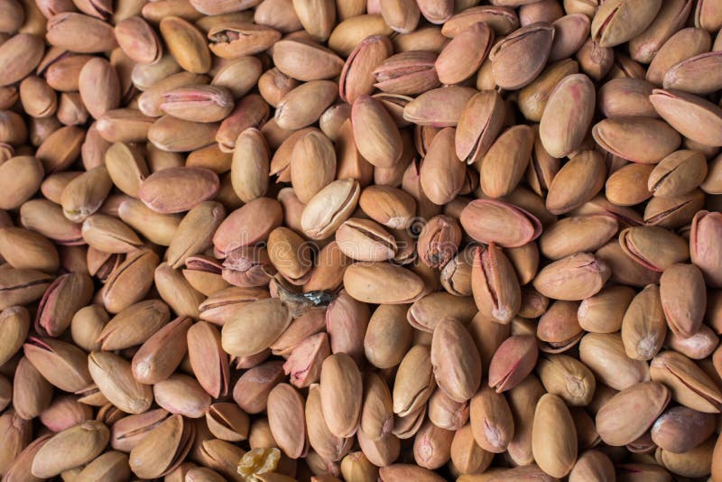 Pistachio with Shell Ready To Eat Stock Photo - Image of natural ...