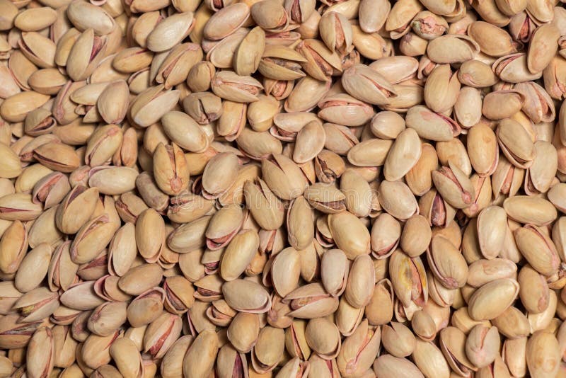 Pistachio with Shell Ready To Eat Stock Image - Image of nature, diet ...