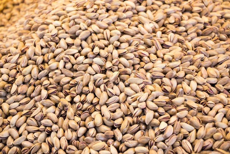 Pistachio with Shell Ready To Eat Stock Photo - Image of holding ...