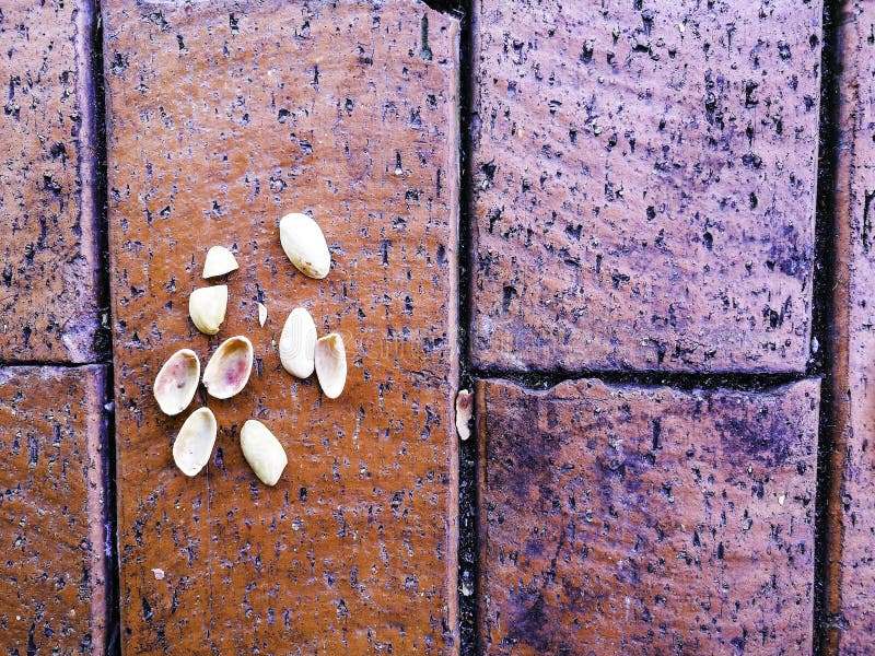 Pistachio Shells on the Red Bricks Floor Texture. Stock Photo - Image ...