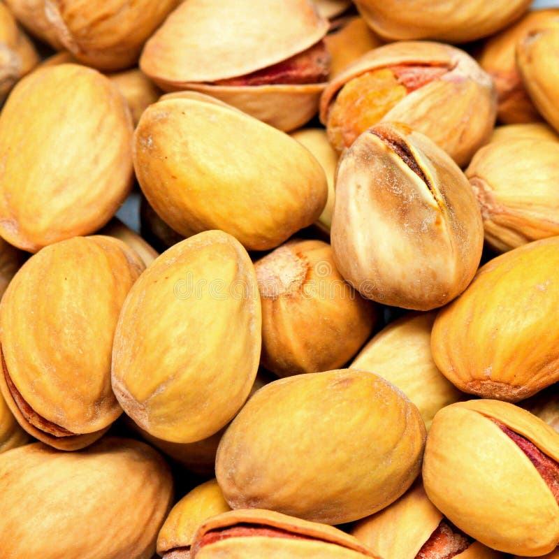 One pistachio stock photo. Image of healthy, ripe, snack - 15354268