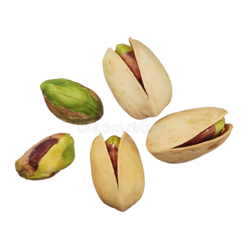 One pistachio nut stock photo. Image of food, space, green - 29681022