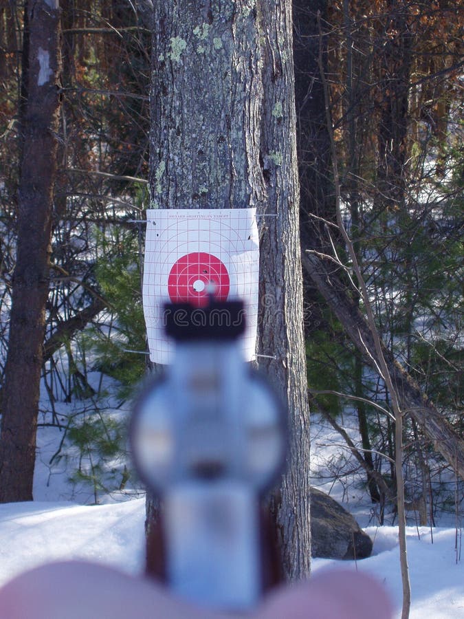 Pistol pointed at target stock photo. Image of intention - 63396