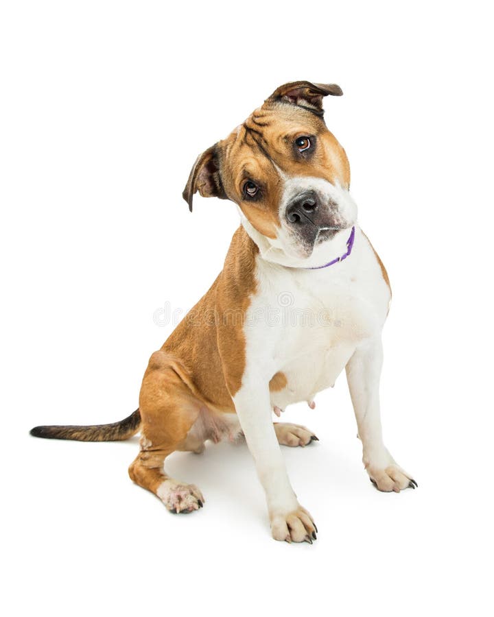 7,700 Pit Head Stock Photos - Free & Royalty-Free Stock Photos from ...