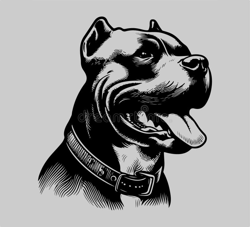 Pit Bull Dog Vector Hand Drawn Stock Vector - Illustration of funny ...