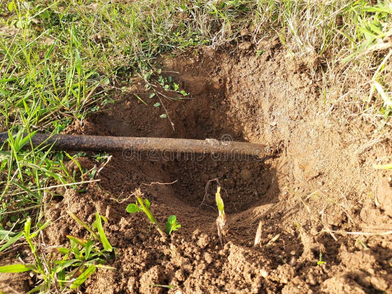 A Pit Dug for Planting a Sapling. Stock Image - Image of garden ...